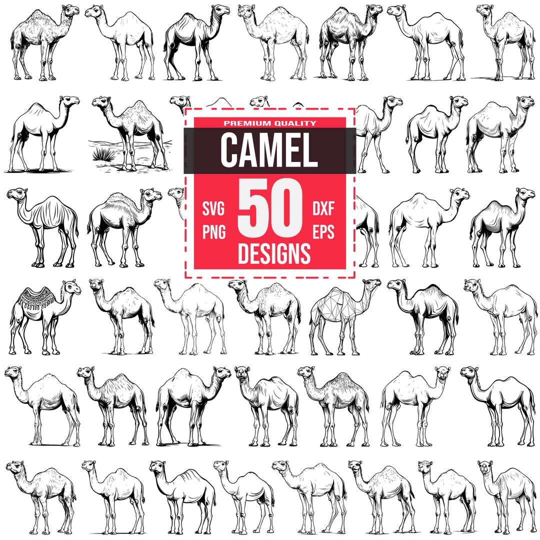 Camel Svg Bundle, Camel Png, Camel Dxf, Camel Eps, Desert Animal Svg, Sahara Svg, Camel Tattoo ...