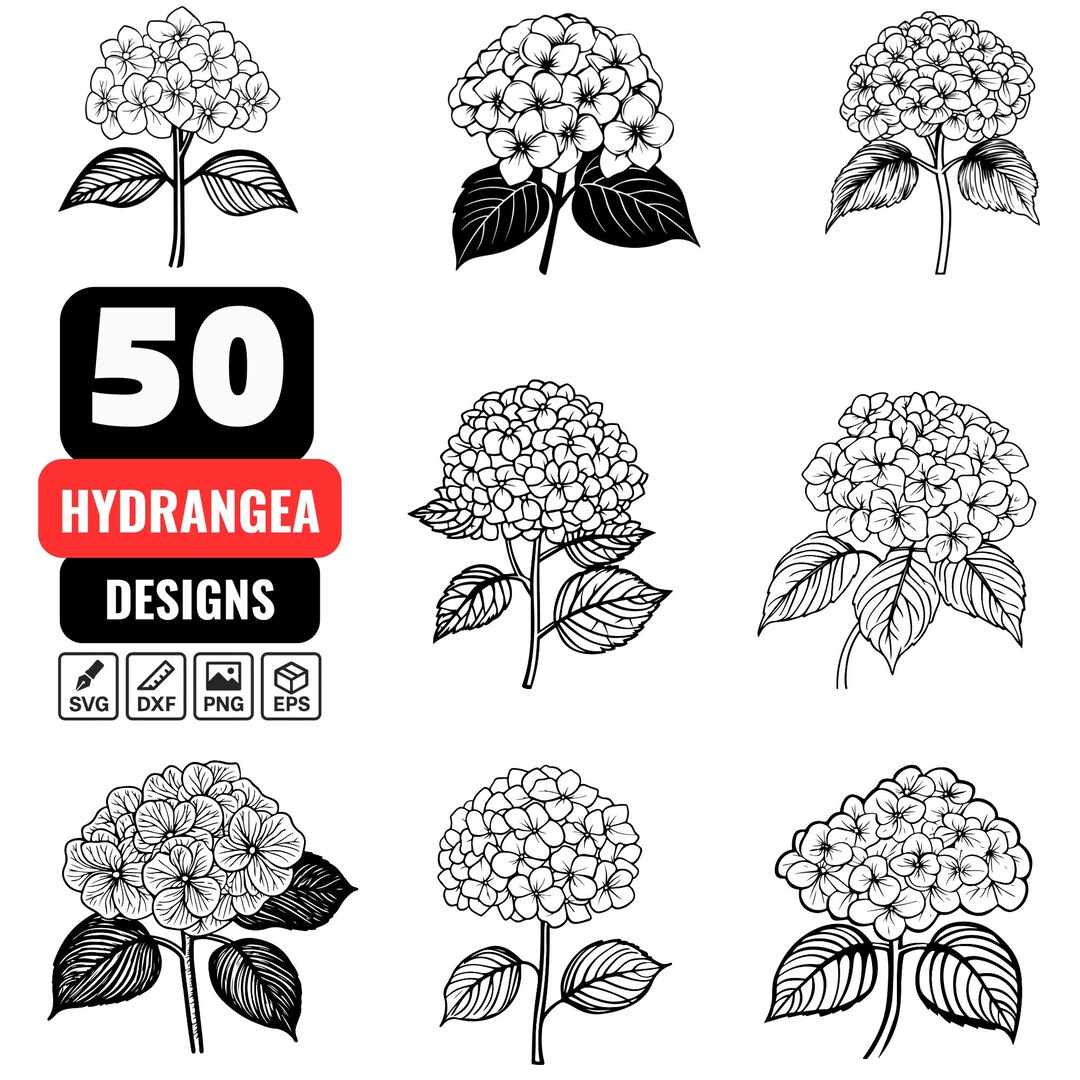 Hydrangea Svg Bundle, Hydrangea Flower Svg, Hydrangea Vector, Garden ...