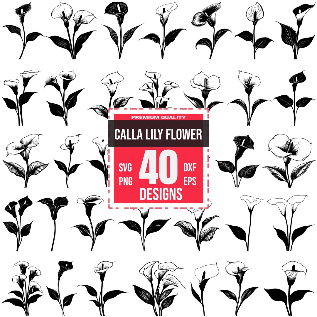 Calla Lily Flower Svg Bundle, Calla Lily Outline, Calla Lily Drawing ...