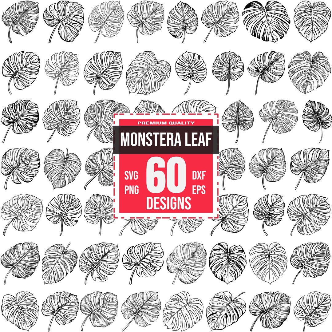 Monstera Leaf Svg Bundle, Monstera Vector, Jungle Leaf Svg, Exotic Leaf ...