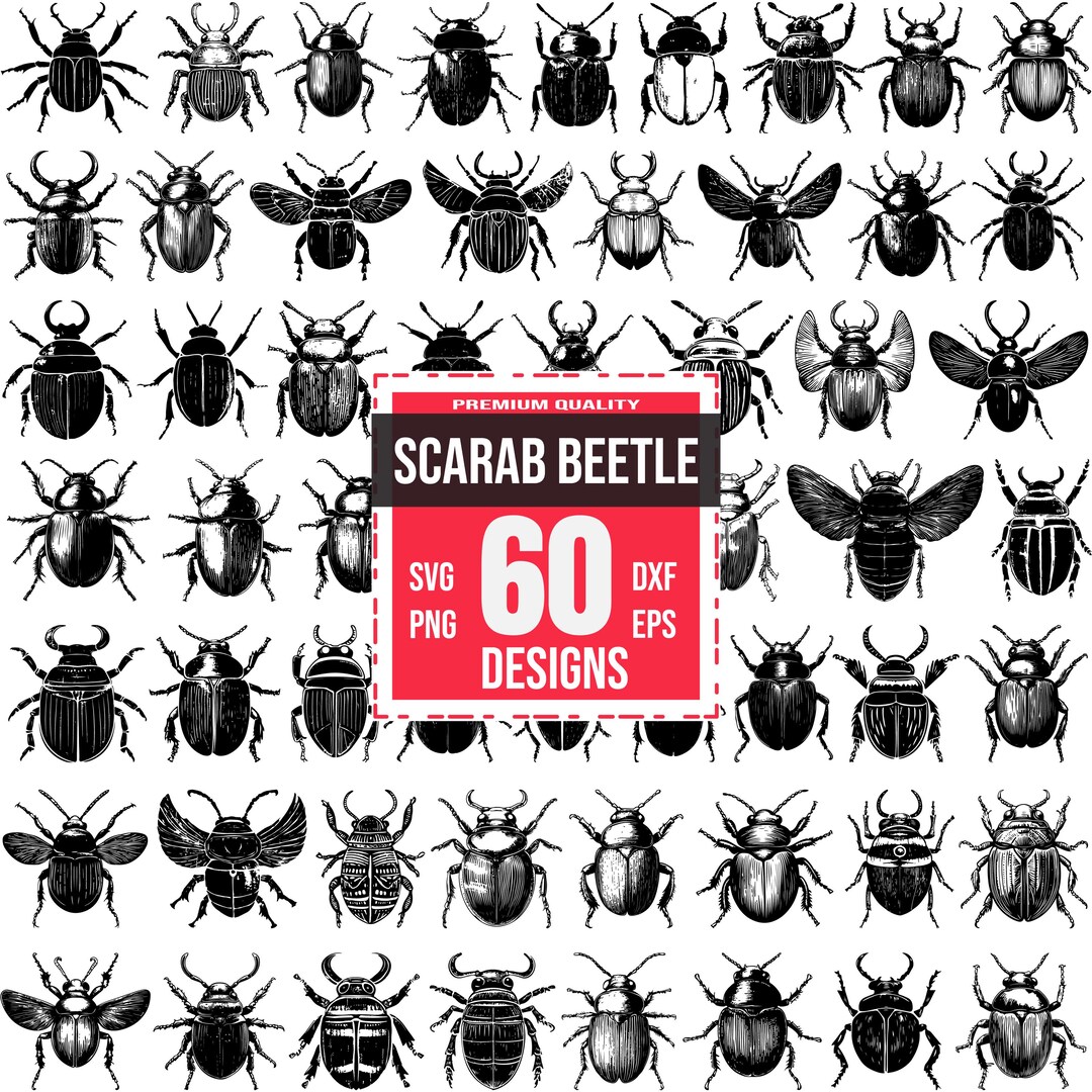 Scarab Beetle Svg Bundle, Sacred Beetle Svg, Beetle Clipart, Scarab ...