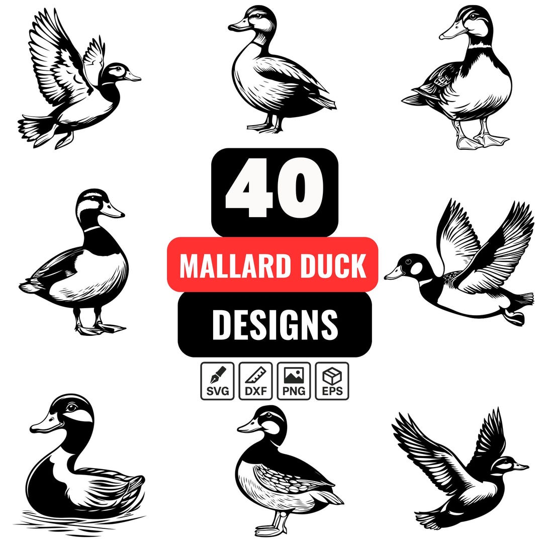 Mallard Duck Svg Bundle, Mallard Duck Png, Mallard Duck Svg, Wild Duck ...