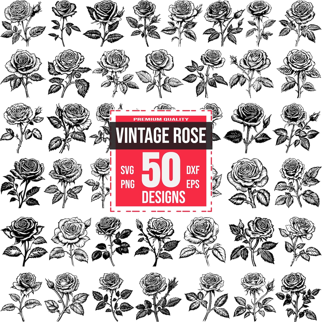 Vintage Rose Svg Bundle, Vintage Rose Png, Antique Rose Svg, Retro Rose ...