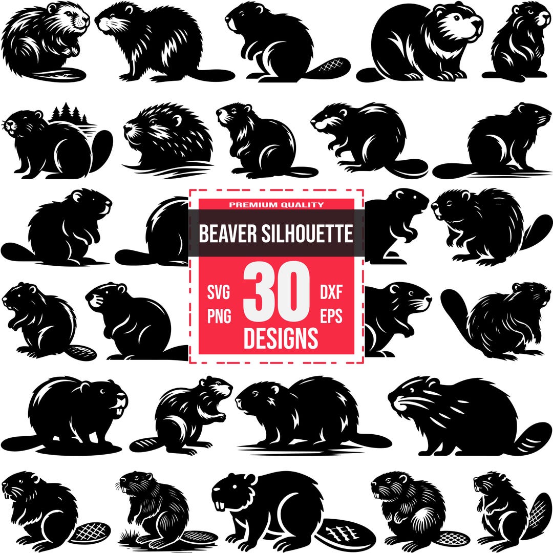 Beaver SVG Bundle | 30 Unique Beaver Designs | Wildlife Animal Art ...