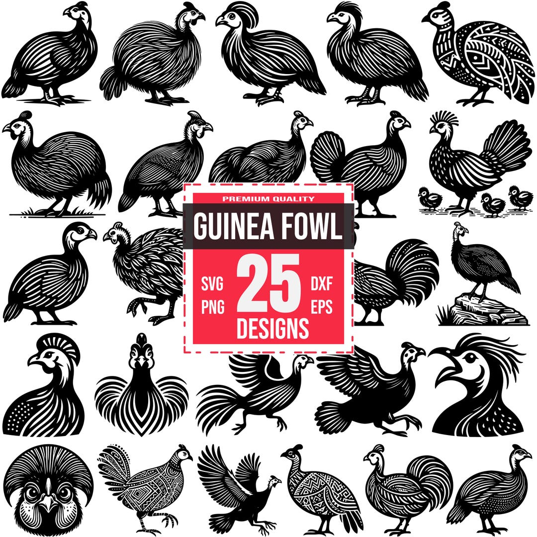 Guinea Fowl SVG Bundle, Farm Bird PNG Clipart, Ornamental Hen Dxf Cut ...