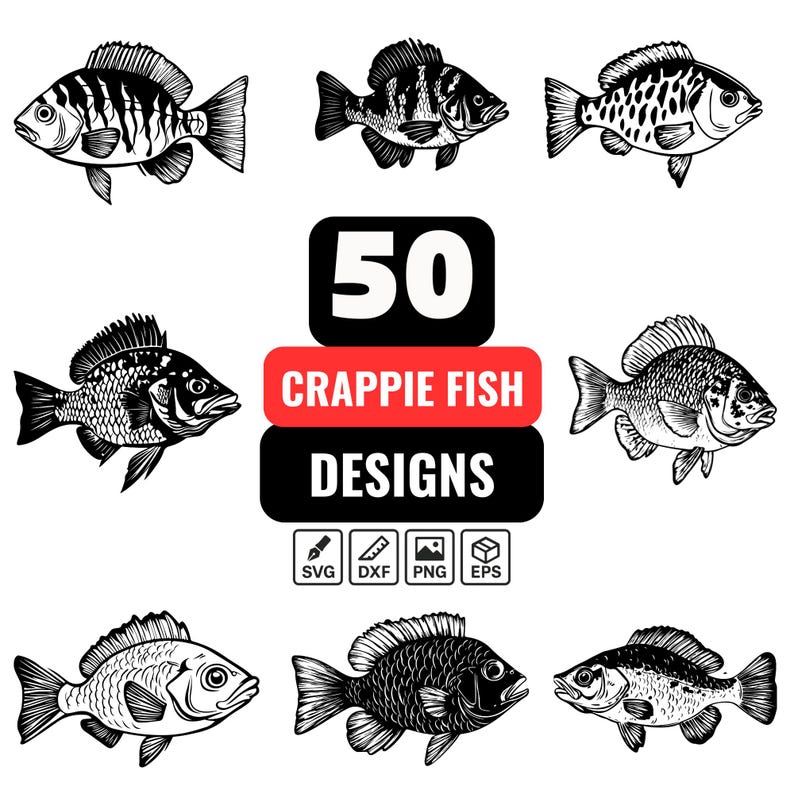 Crappie Fish SVG Bundle: Freshwater Fishing Vector Graphics - Etsy