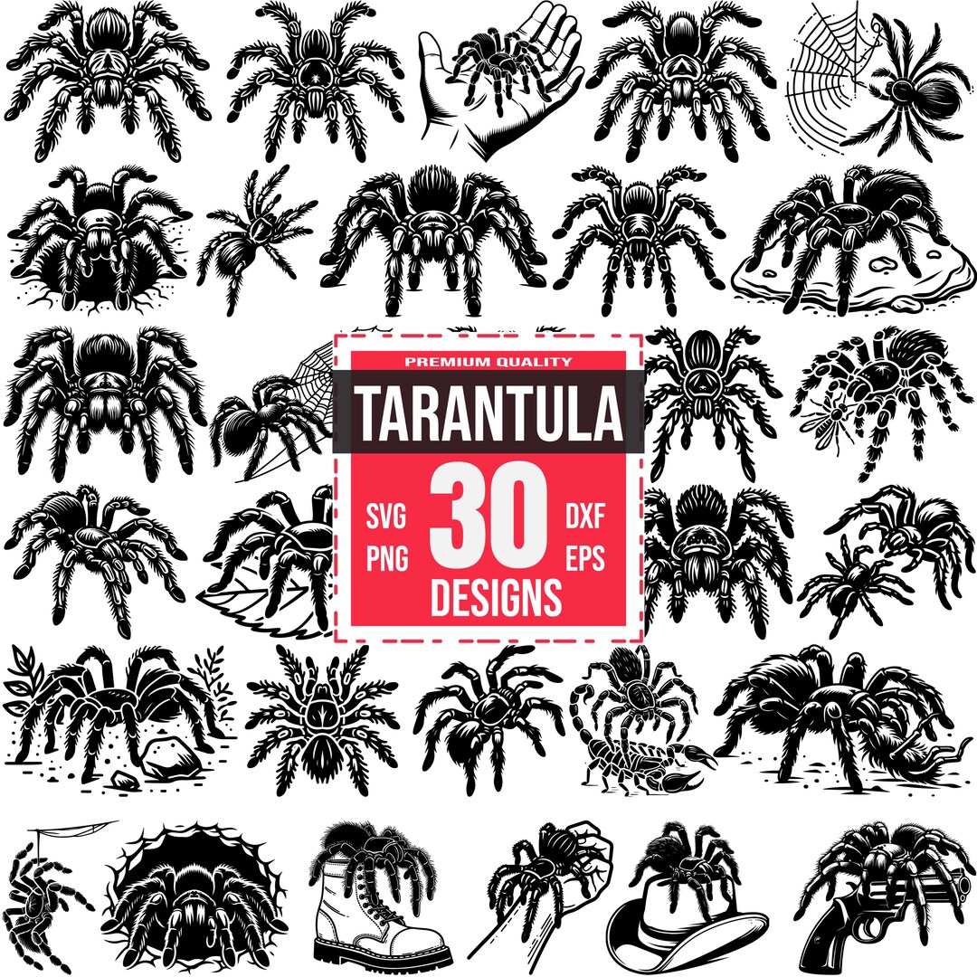 Tarantula SVG Bundle | 30 Creepy Spider Designs | Horror, Arachnid ...