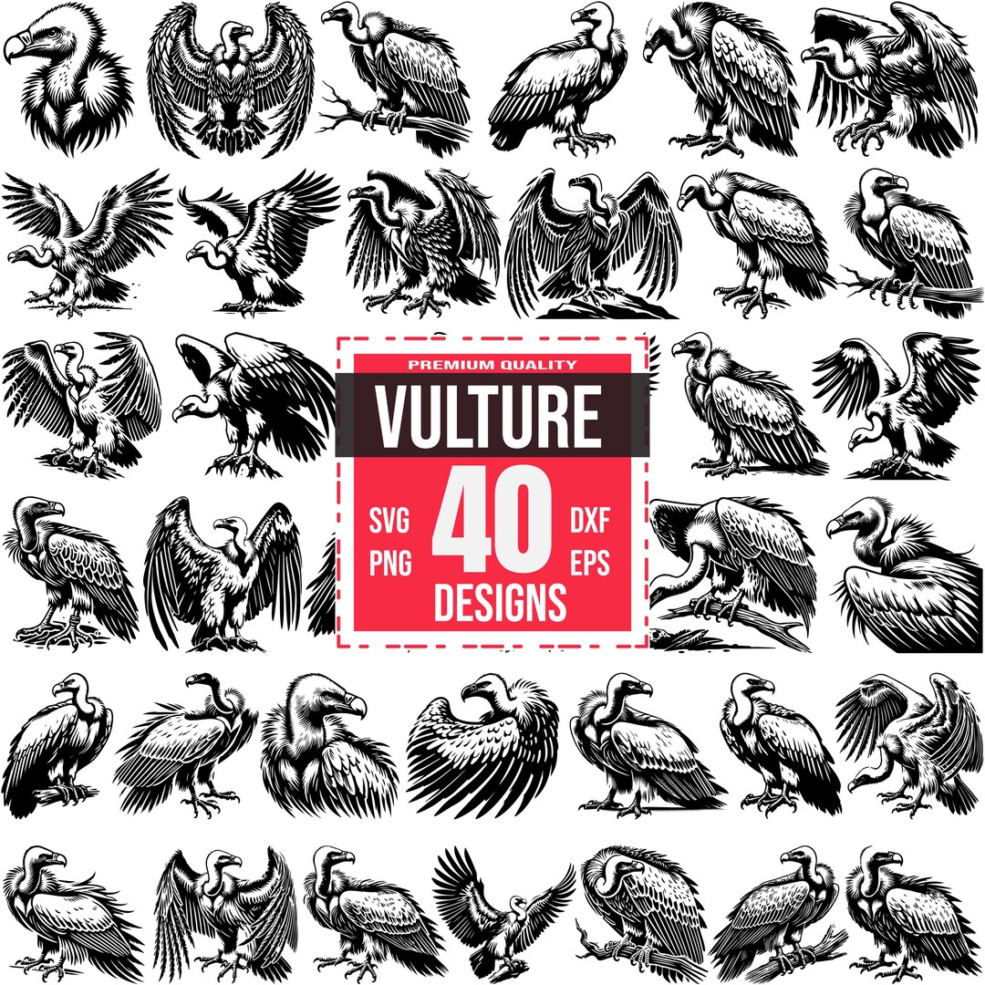 Vulture SVG Bundle | 40 Majestic Vulture Designs | Wildlife Art, Nature ...
