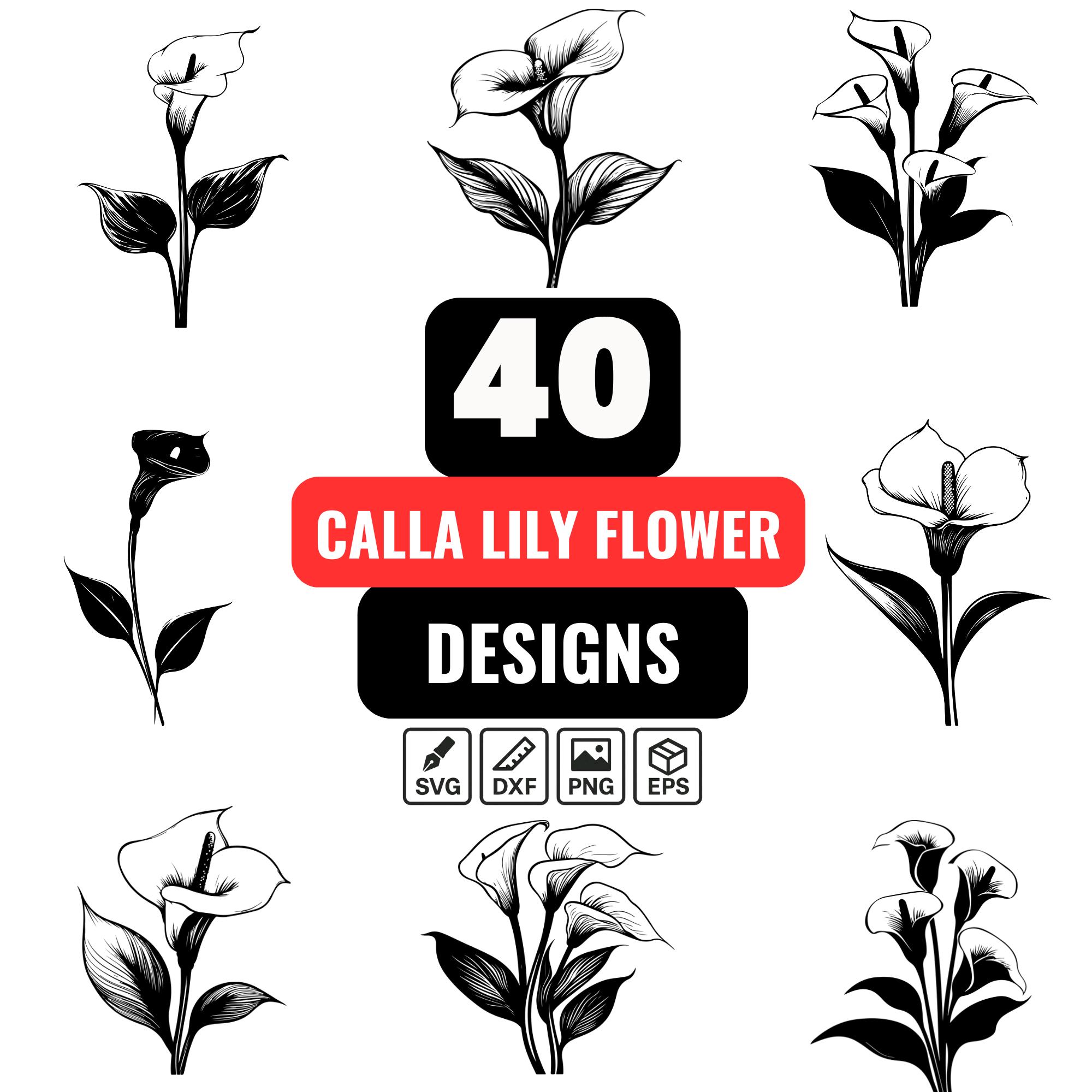 Calla Lily Flower Svg Bundle, Calla Lily Outline, Calla Lily Drawing ...