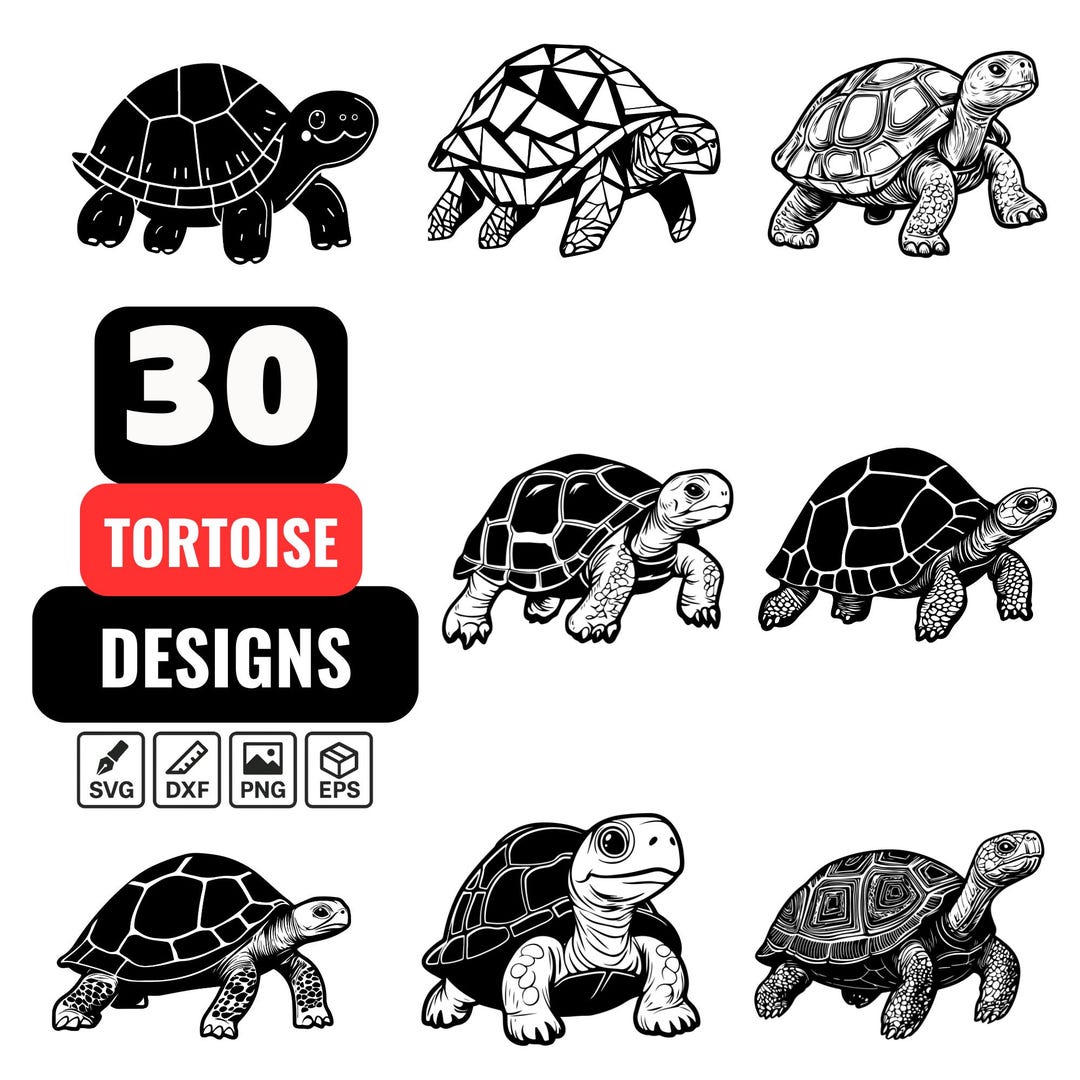 Tortoise Svg Bundle, Tortoise Png, Tortoise Clipart, Giant Tortoise ...