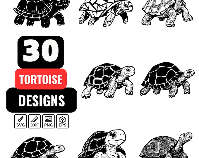 Sulcata Tortoise SVG Bundle - Etsy Canada