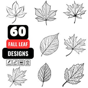 Fall Leaf SVG Bundle, Autumn Leaf Svg, Rustic Leaf Svg, Harvest Svg ...