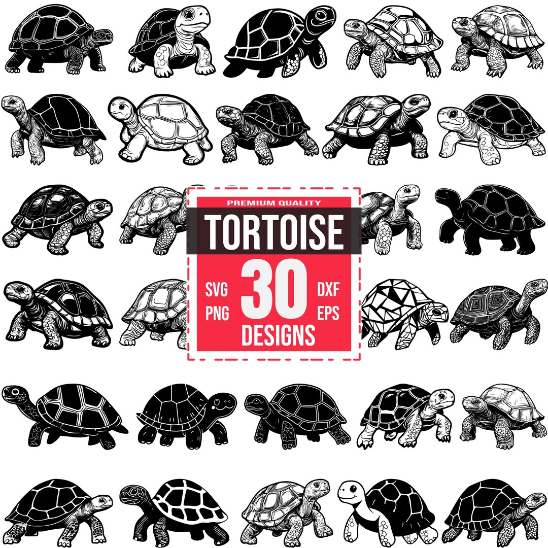 Tortoise Svg Bundle, Tortoise Png, Tortoise Clipart, Tortoise Vector ...