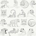 Leopard Line Art SVG Bundle | 50 Leopard Clipart Designs | Wild Cat ...