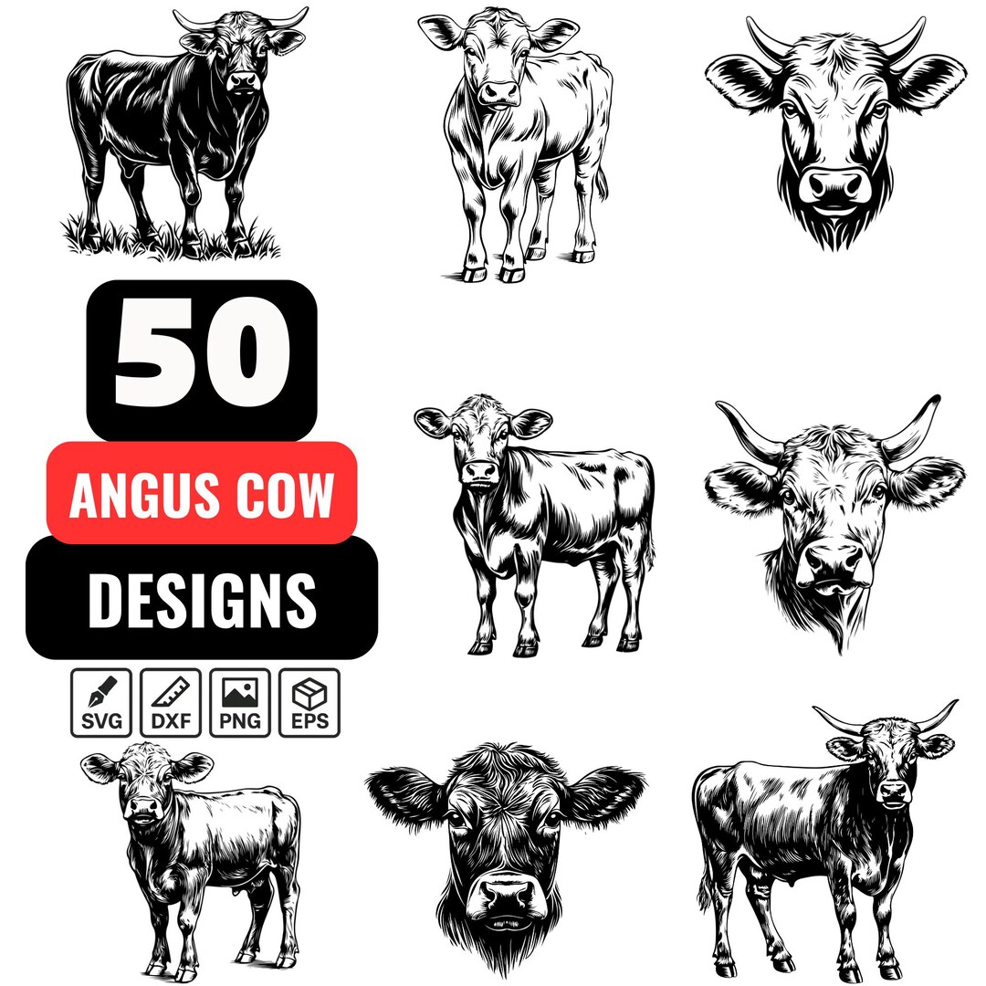 Angus Cow Svg Bundle, Farm Animal Svg, Cattle Svg, Angus Cattle Svg ...