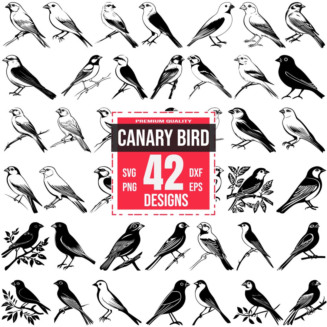 Canary Bird Svg Bundle, Canary Bird Png, Songbird Svg, Canary Clipart ...