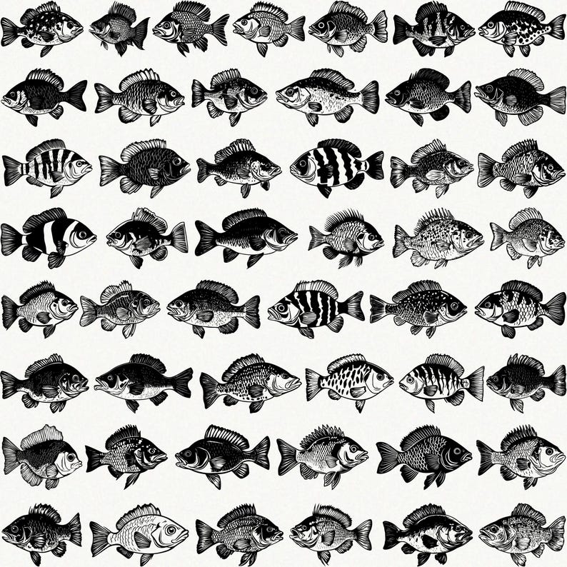 Crappie Fish SVG Bundle: Freshwater Fishing Vector Graphics - Etsy