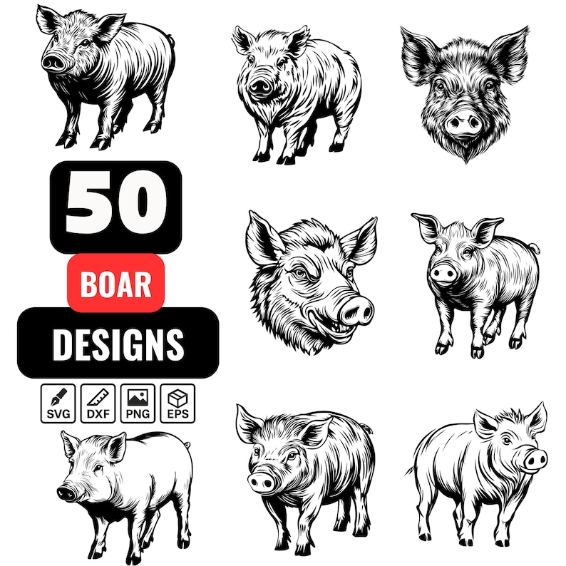 50 Boar SVG Bundle | Wild Boar Silhouette Clipart | Hog, Animal ...