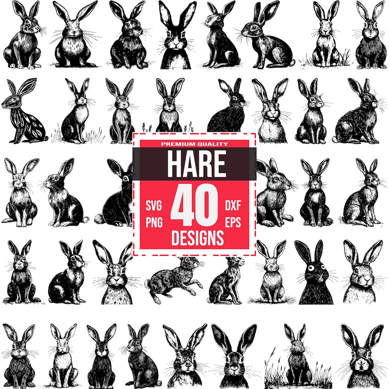 Hare Drawing - Etsy UK