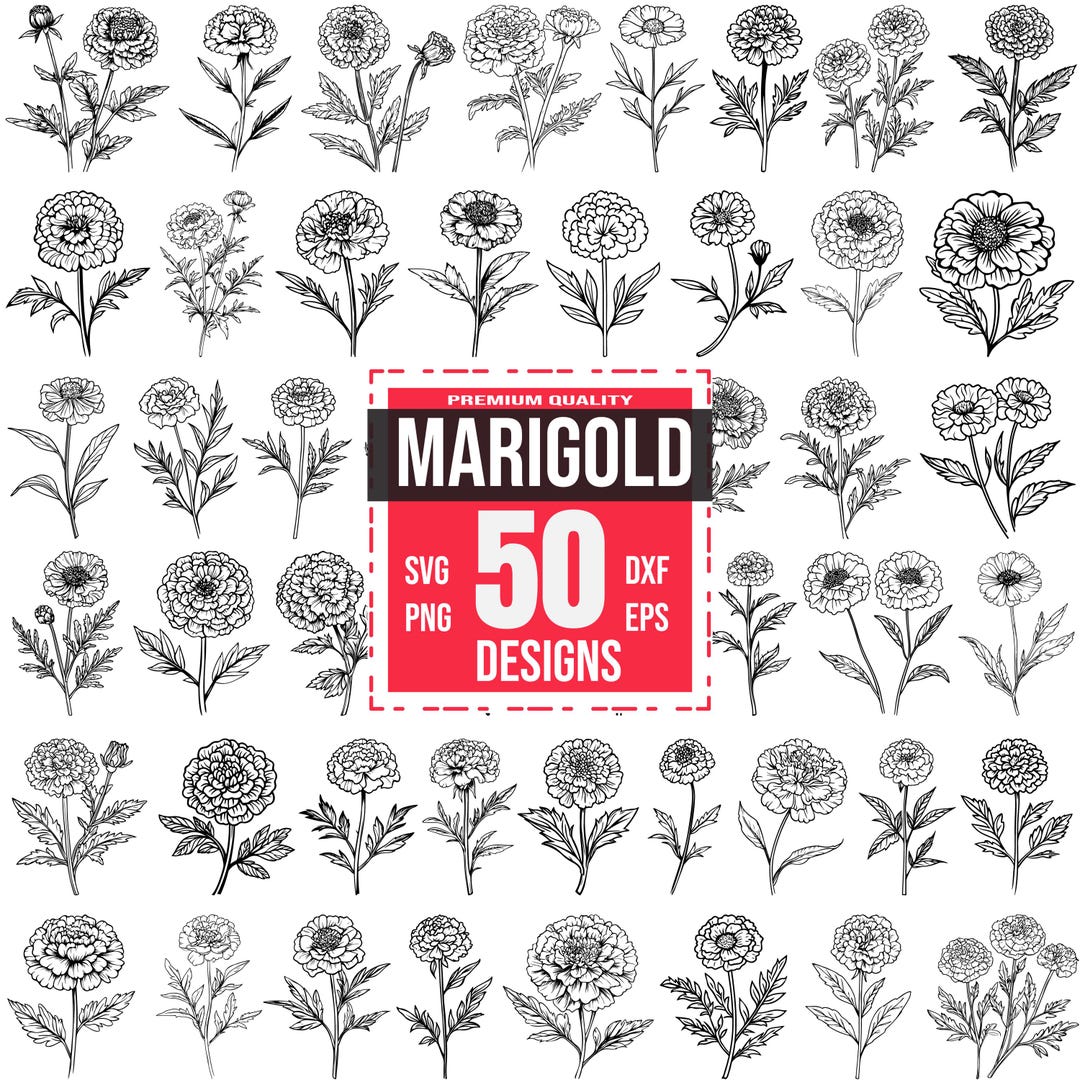 Marigold Svg Bundle, Marigold Png, Marigold Dxf, Marigold Flower Svg ...