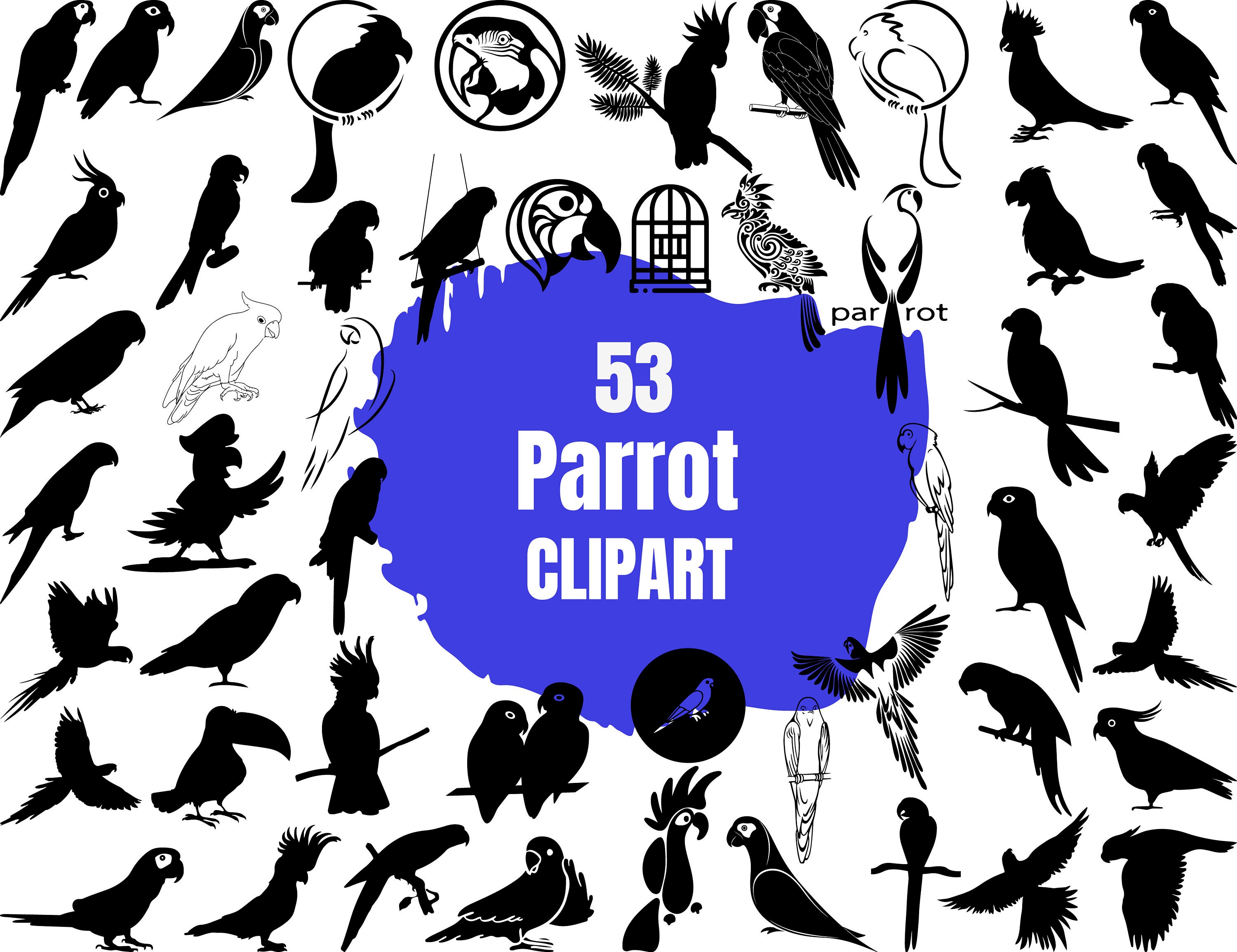 Parrot Svg Parrot Svg Bundle Parrot Head Svg Parrot Cut | Etsy UK