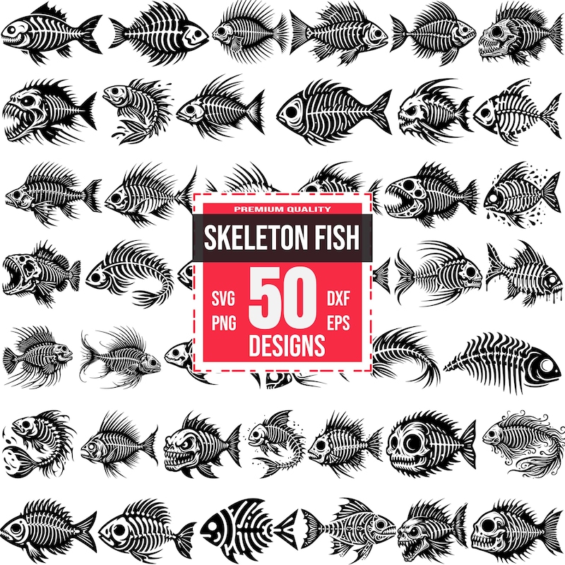 Ocean Creature Bones - Etsy