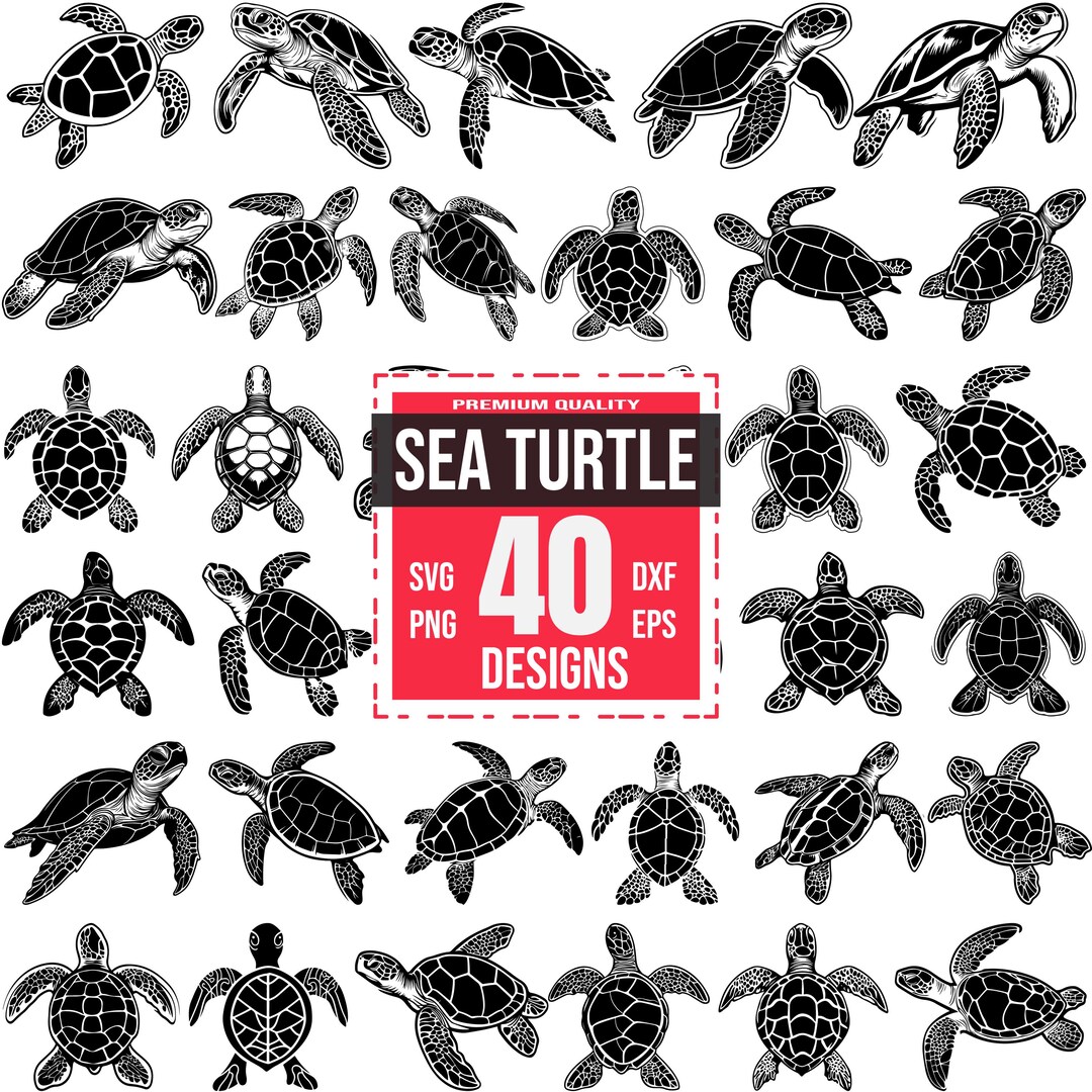Sea Turtle Svg Bundle, Sea Turtle Clipart, Sea Turtle Vector, Ocean ...