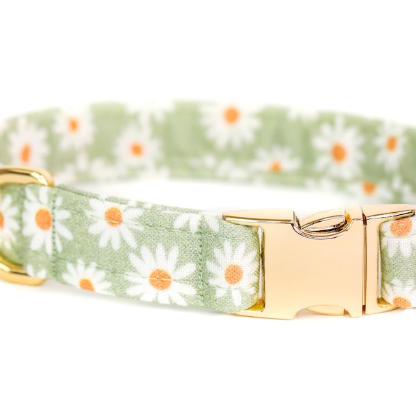 Fancy Dog Collar - Etsy