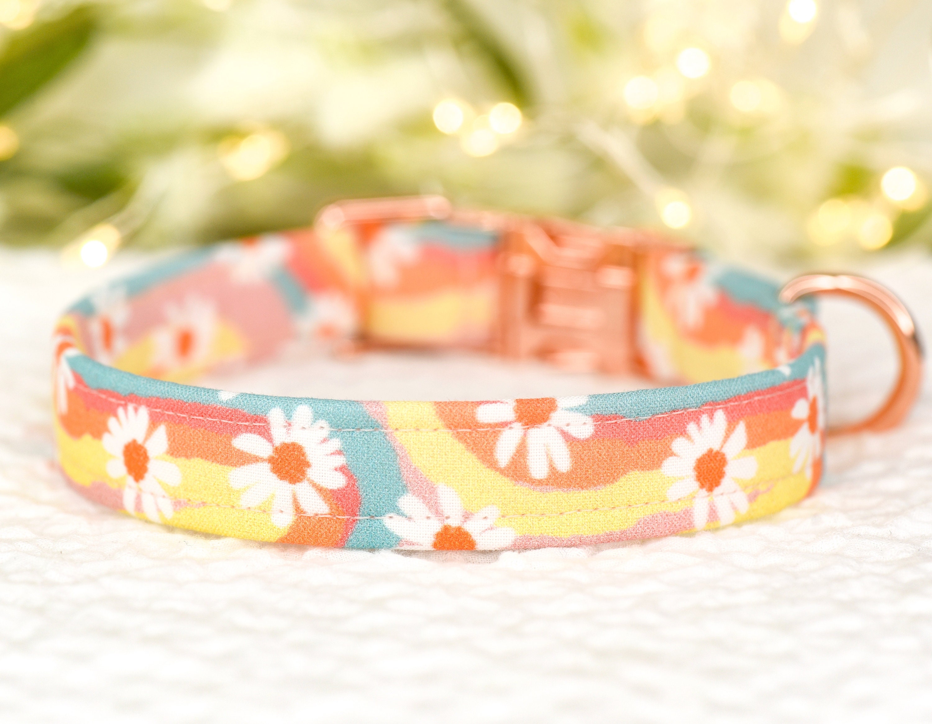Retro Daisy Dog Collar Groovy Rainbow Summer Dog Collar | Etsy