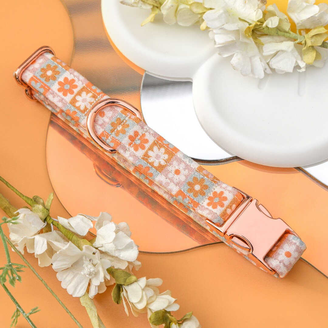 Daisy Checkered Dog Collar, Y2k Dog Collar Groovy, Cute Retro Dog ...