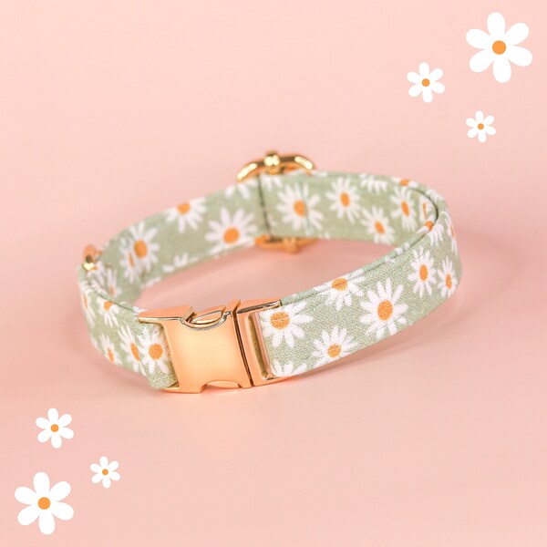 Fancy Dog Collar - Etsy