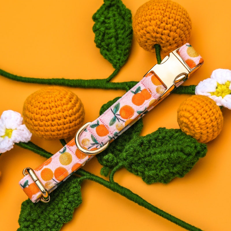 Orange Dog Collar - Etsy