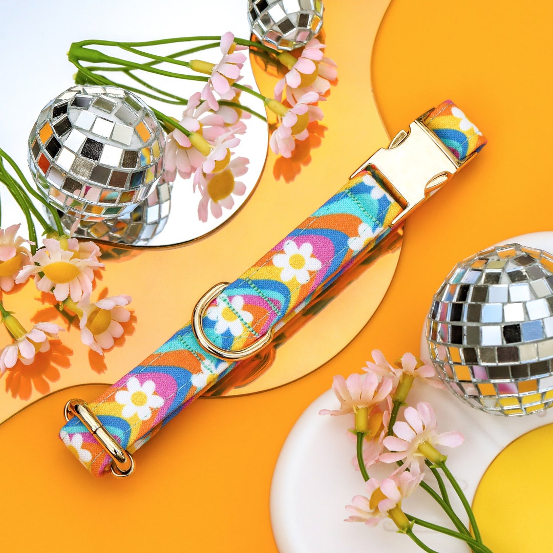 Retro Rainbow Daisy Dog Collar, Cute Groovy Dog Collar Customized ...