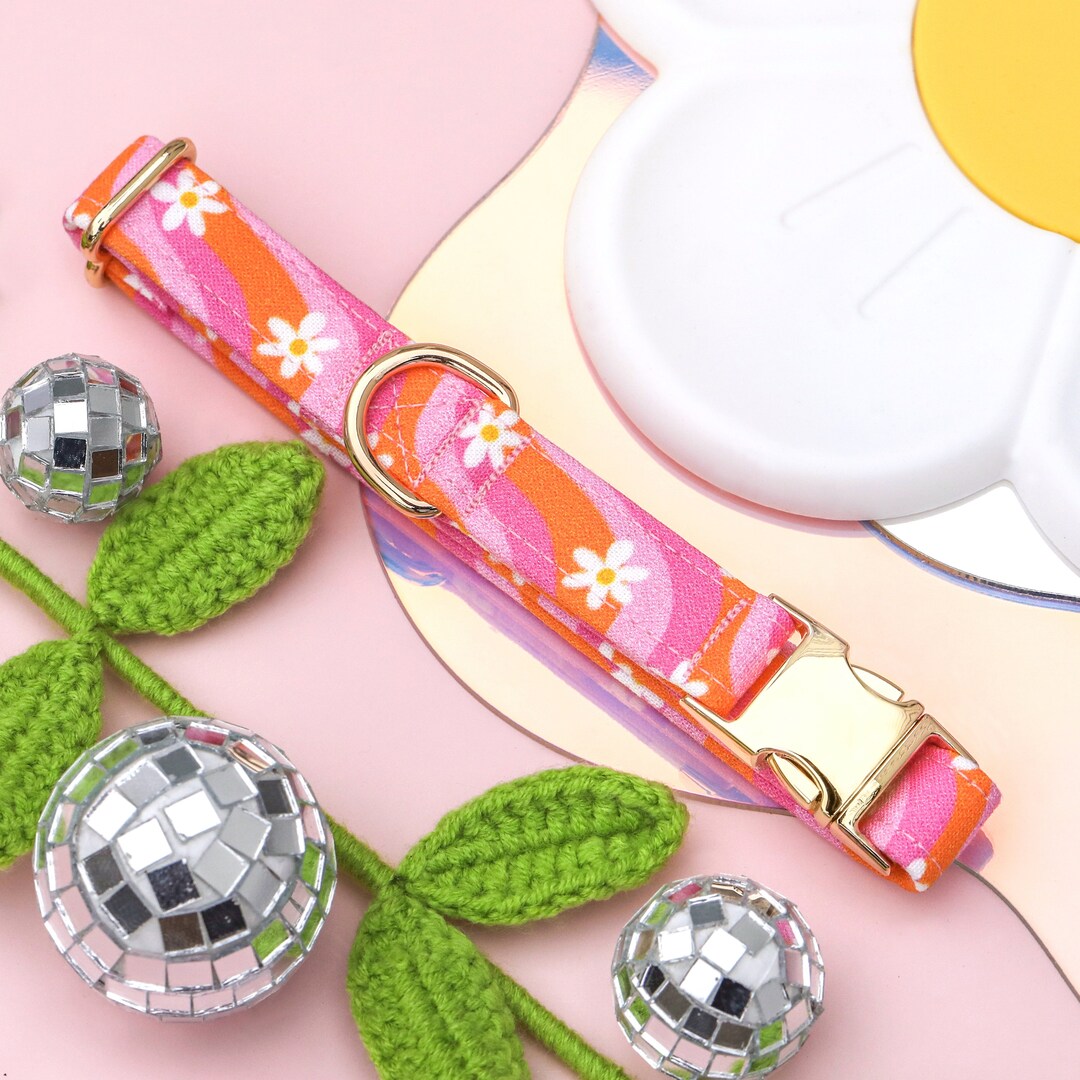 Y2K Groovy Daisy Dog Collar, Customized Retro Girl Dog Collar, Colorful ...
