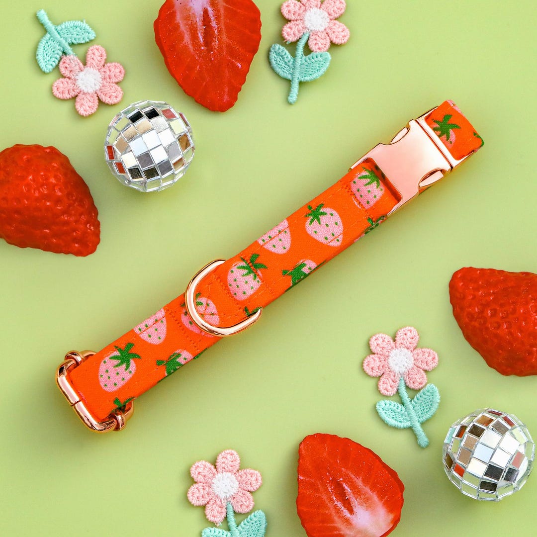 Retro Strawberries Dog Collar, Fruit Summer Dog Collar, Colorful Dog ...
