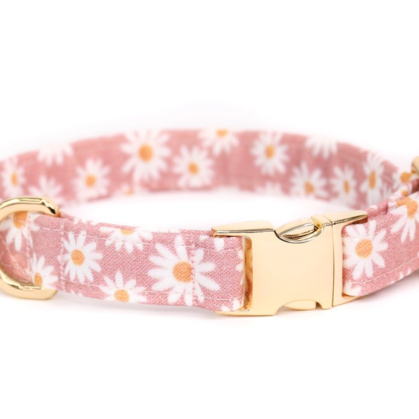Fancy Dog Collar - Etsy