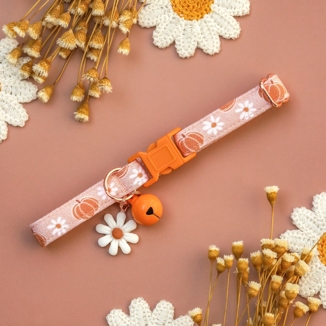 Neutral Daisy Pumpkin Cat Breakaway Collar, Cute Fall Cat Collar ...