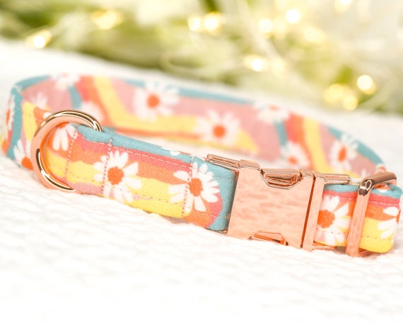 Retro Daisy Dog Collar Groovy Rainbow Summer Dog Collar | Etsy