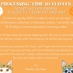 Retro Checkered Cat Collar With Bell Colorful Male Cat - Etsy