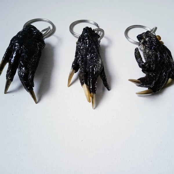 Taxidermy Alligator - Etsy