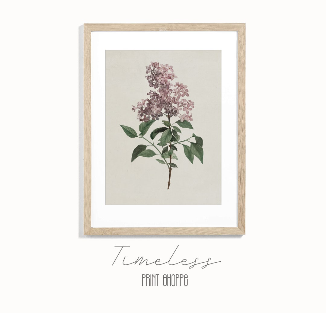 Botanical Art Print Farmhouse Kitchen Decor Floral Printable Vintage ...