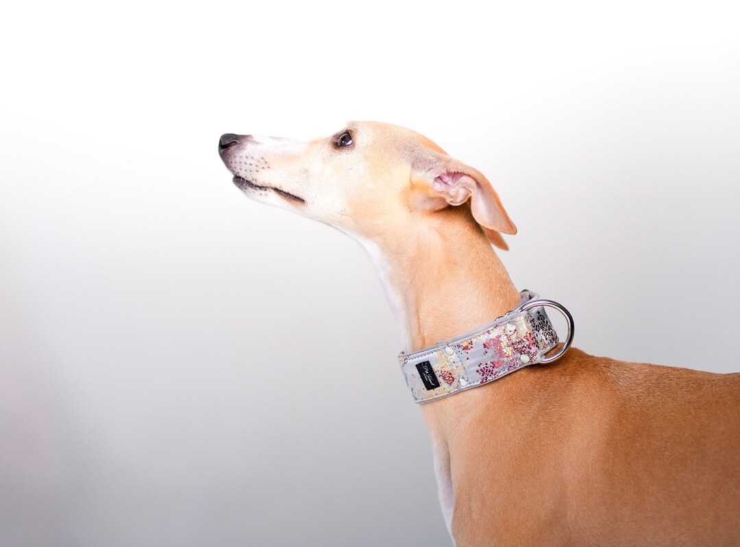 Dog Collar - Silk SILVER – Adjustable Wide for Sighthound & Other Dogs ...