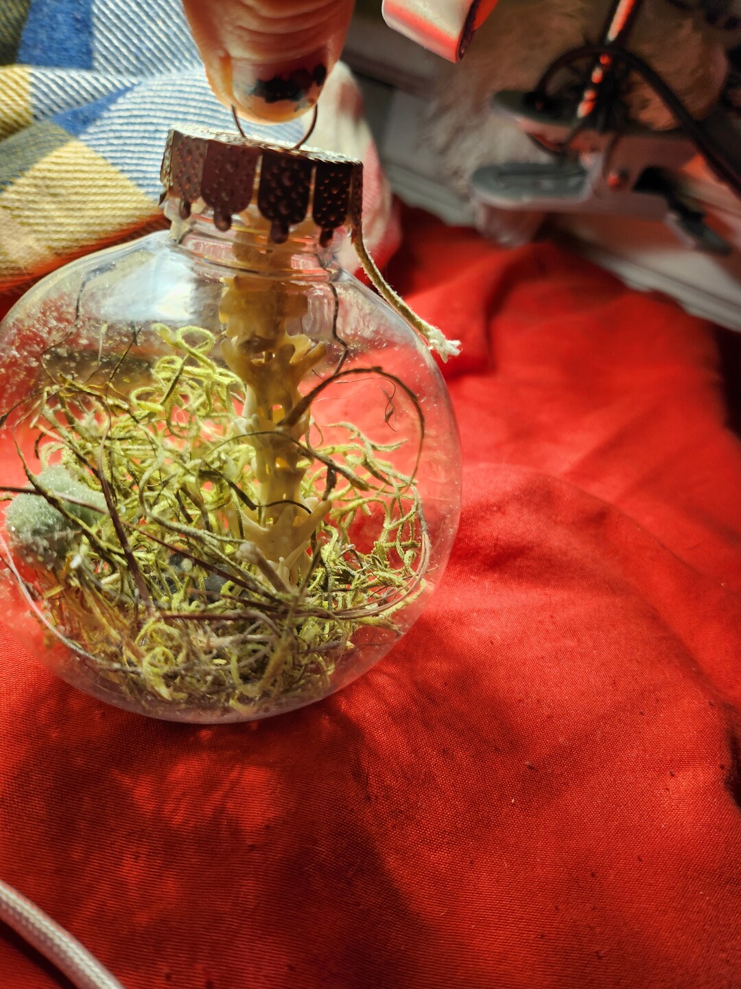 Spooky Spine Ornament - Etsy