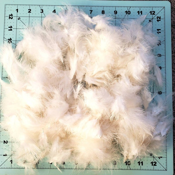 Chicken Feathers - Etsy