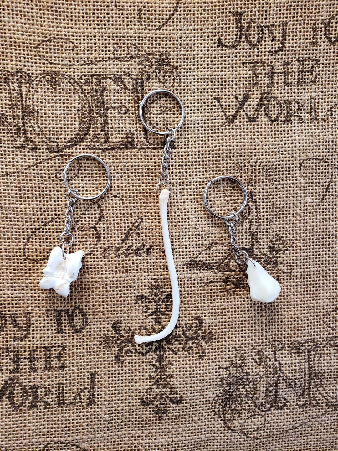 Real Bone Key Chains, Coon Dick Bone, Goat, Deer Bones - Etsy