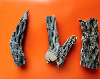 Cholla Wood - Etsy