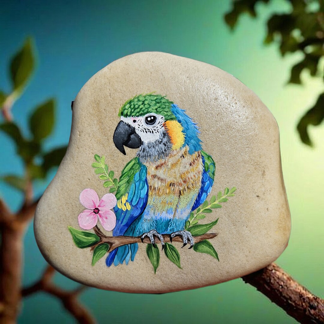 Parrot Painted Rock - Etsy