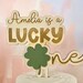 Lucky One Cake Topper With Custom Name, First Birthday Decorations ...