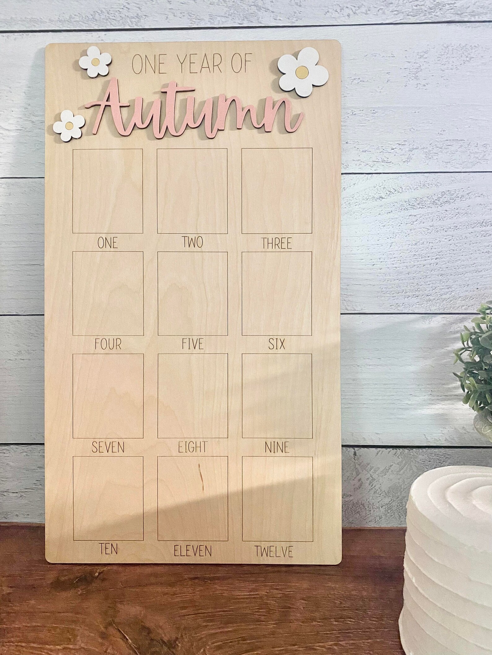 First Birthday Photo Board: Monthly Milestone Display, 3D Name - Etsy