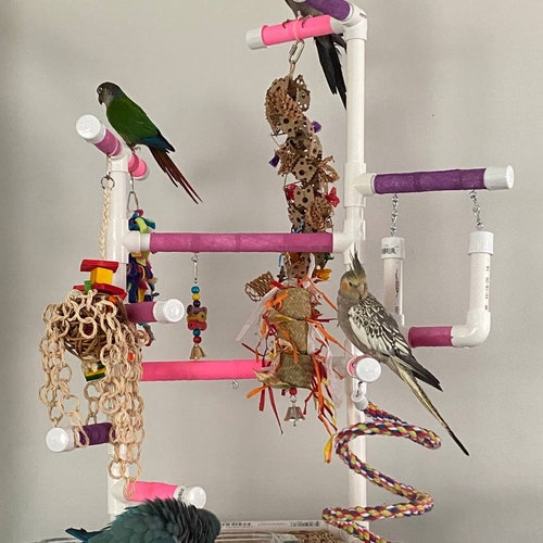 1/2 PVC Parrot Play Gym. Table Top Portable Bird Perch - Etsy